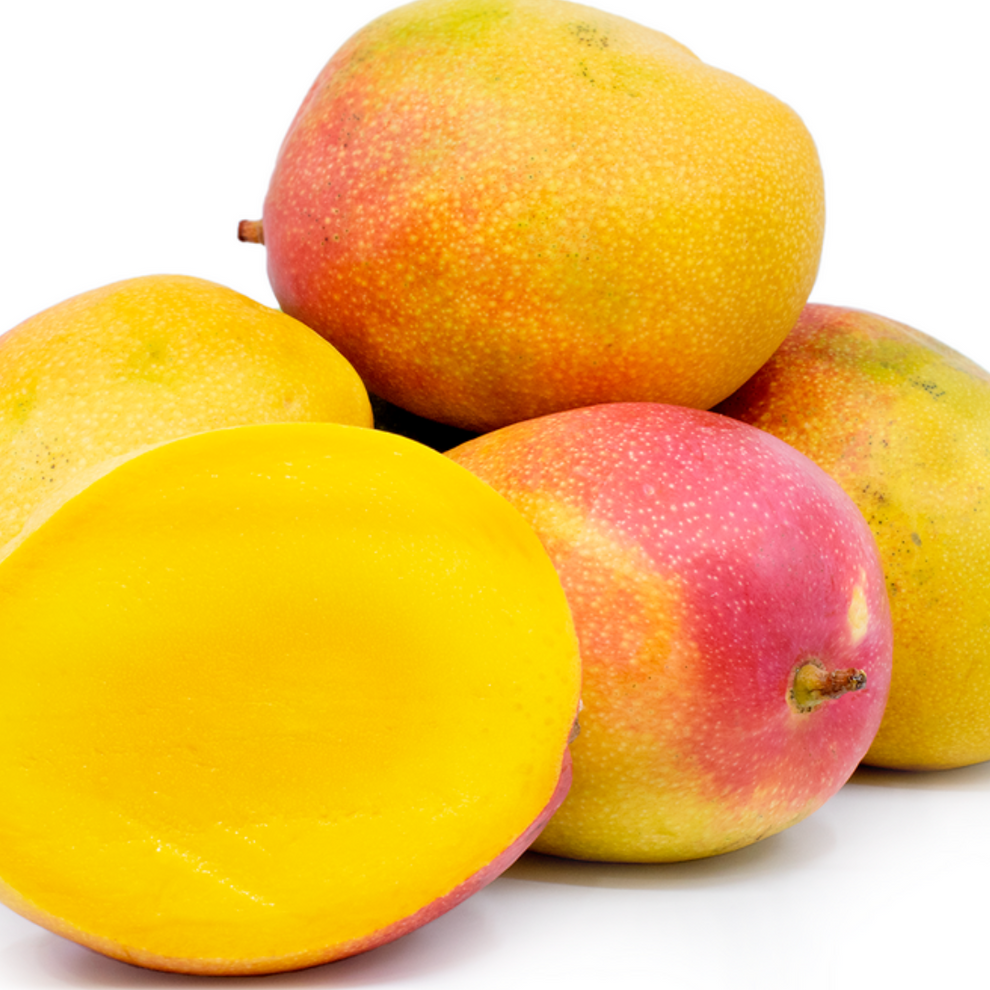 Brazilian Haden Mangoes (Single) – Riley's Tropical Food